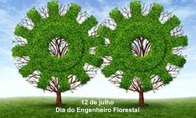 Por que em 12 de julho é comemorado o Dia do Engenheiro florestal ...