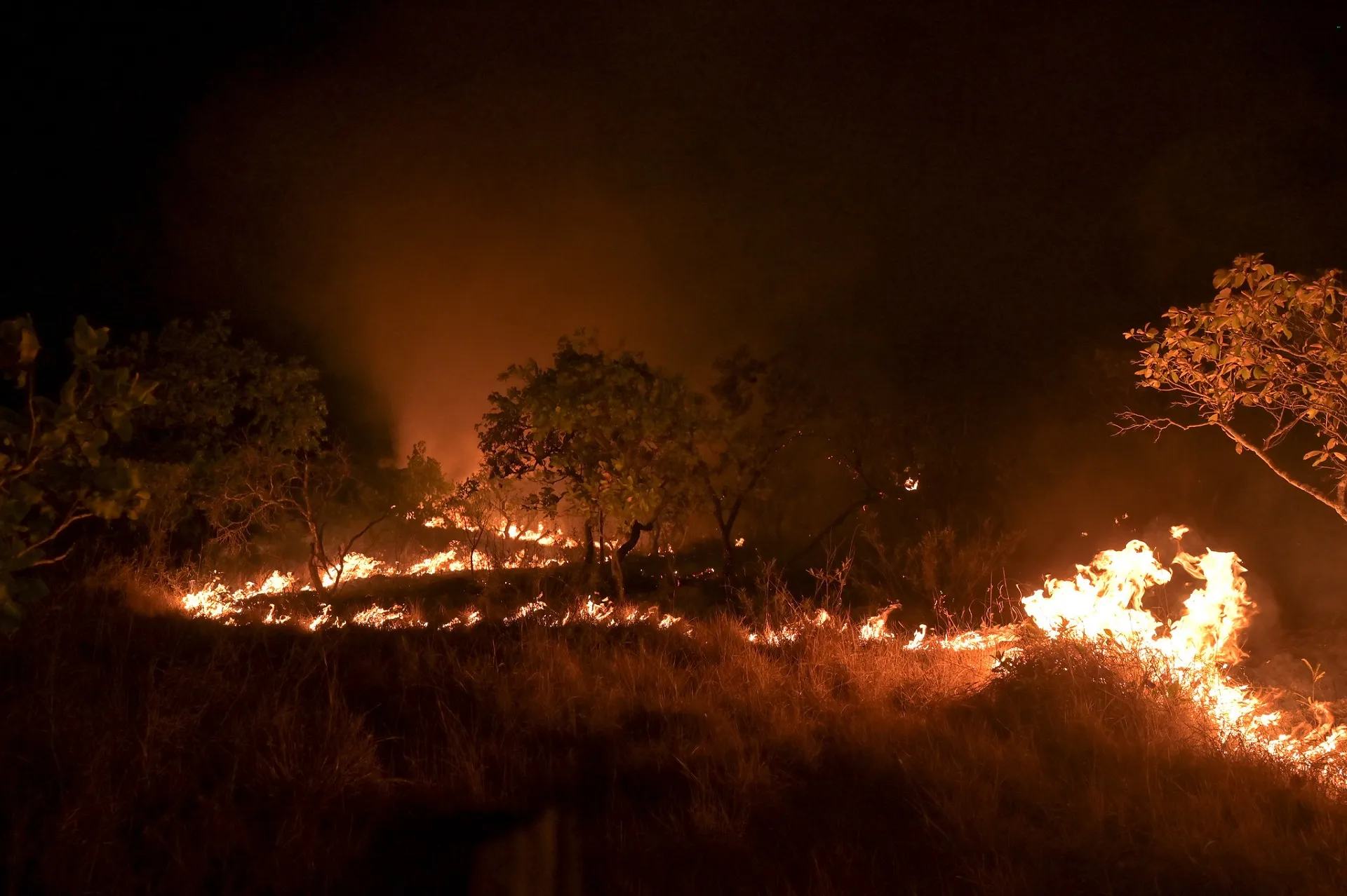 Queimadas explodem no Cerrado e na Amazônia em Março - Florestal Brasil