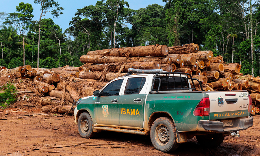 Novo Cronograma do Concurso IBAMA 2024: Confira as Datas Atualizadas e ...