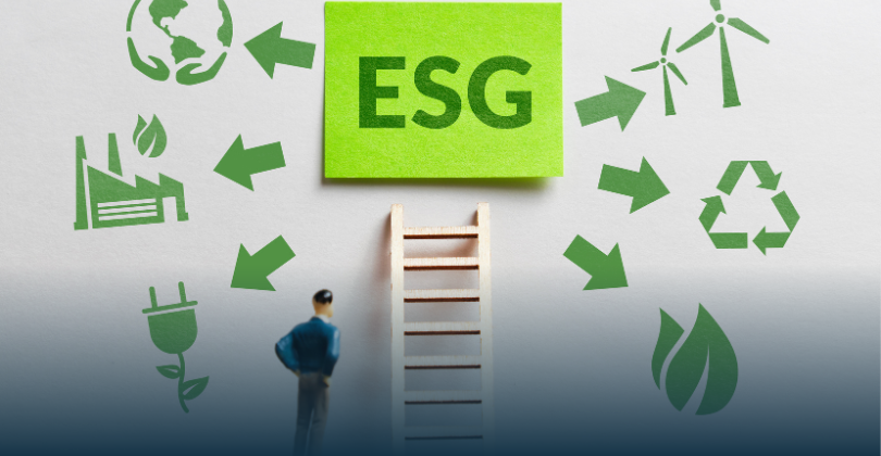 Carreira em ESG: Um Guia Completo para Iniciantes e Profissionais ...