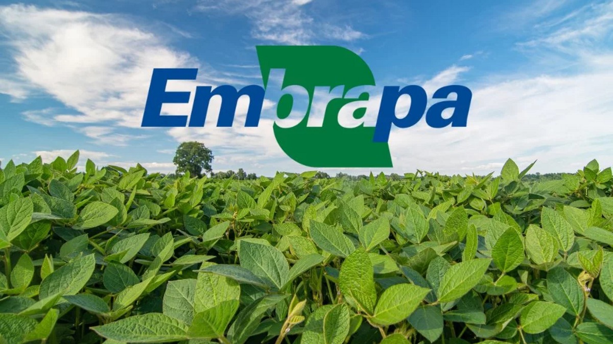 Concurso EMBRAPA 2025: Edital, Vagas e Dicas de Preparação | Florestal ...
